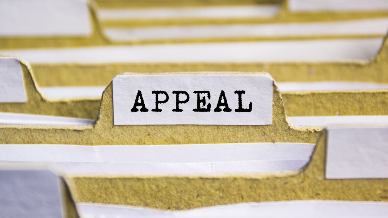 Long Term & CPP Disability Appeal Letter Sample (& How to Write One ...